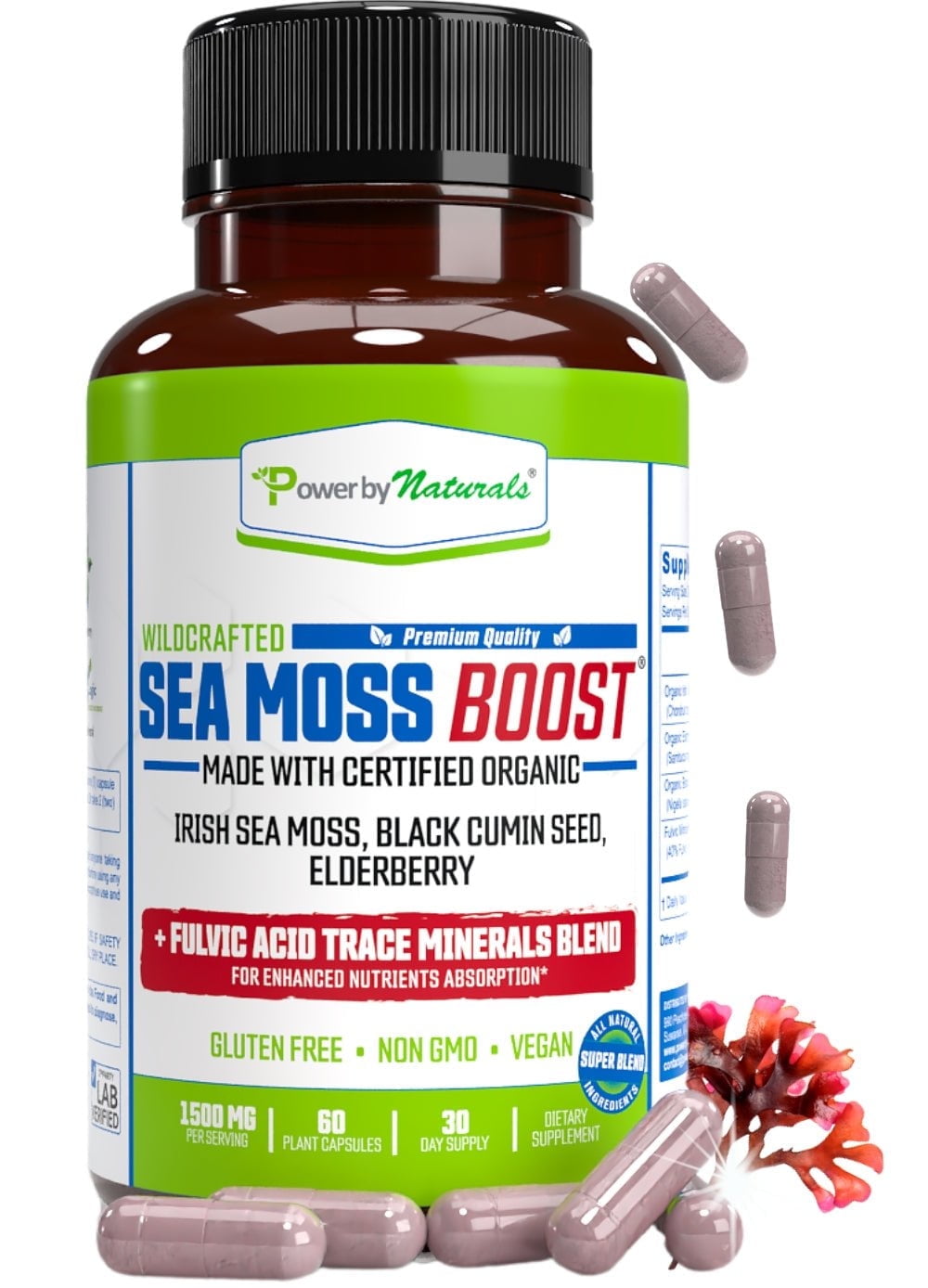 Power by Naturals Nutrient Absorption Sea Moss Boost with Fulvic ...