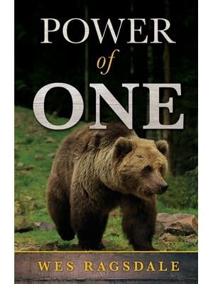 Power of One - Walmart.com