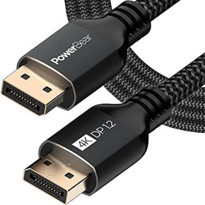 Display Port
