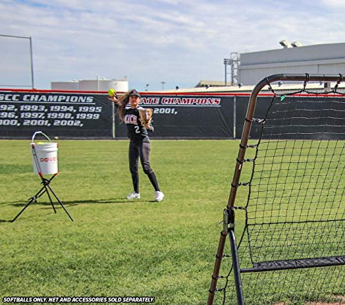PowerNet Practice Softballs | 12 PK Recreation Grade 12" Balls ...