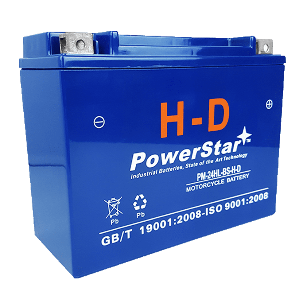 PowerStar High Rate 12 Volt YTX24HL-BS Battery for Honda Goldwing ...