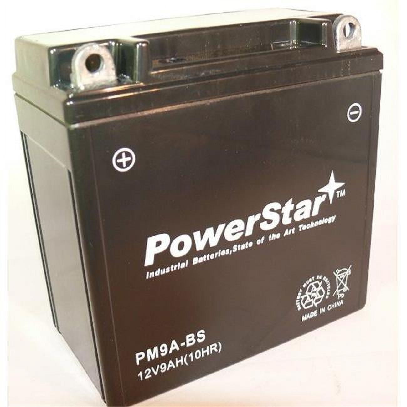 PowerStar PM9A-BS-687 9-B Battery for Jacobsen Homelite-Hustler Riding ...