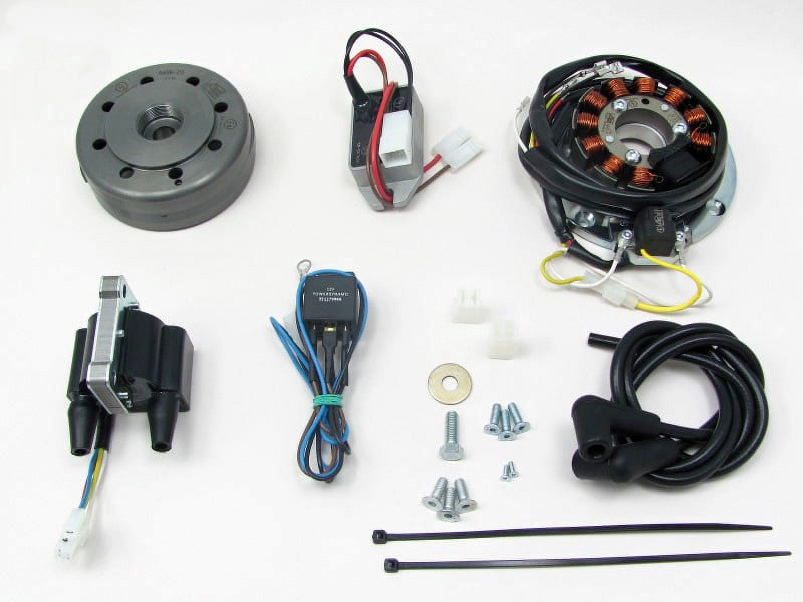 Powerdynamo VAPE Ignition System Stator for Yamaha Early TZ 2Cylinder ...