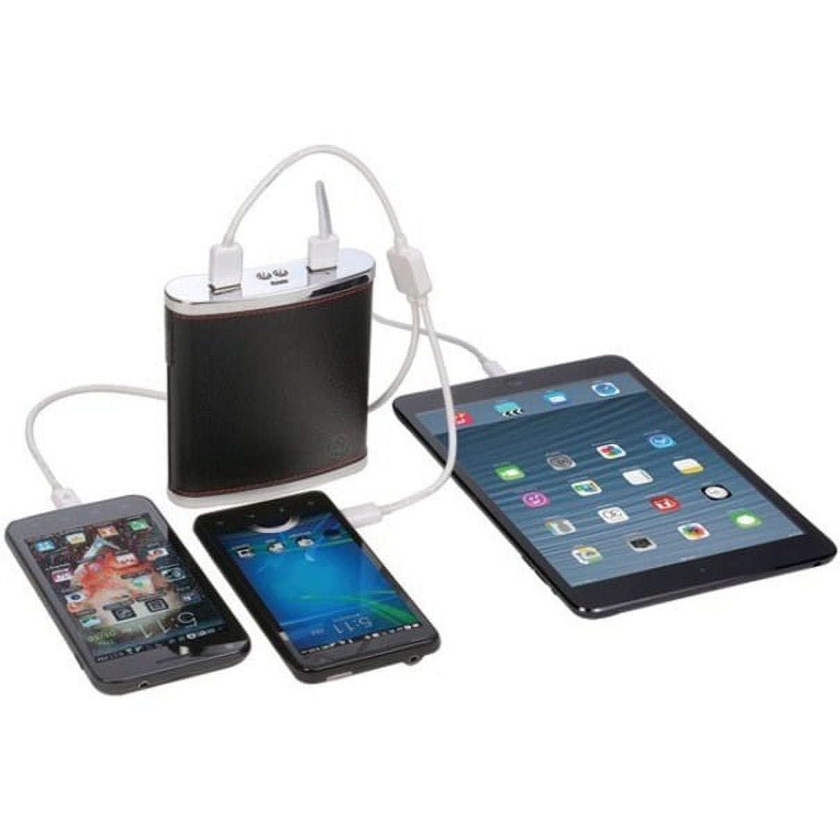 Powerflask Portable Power Bank for Mobile Charging - Walmart.com