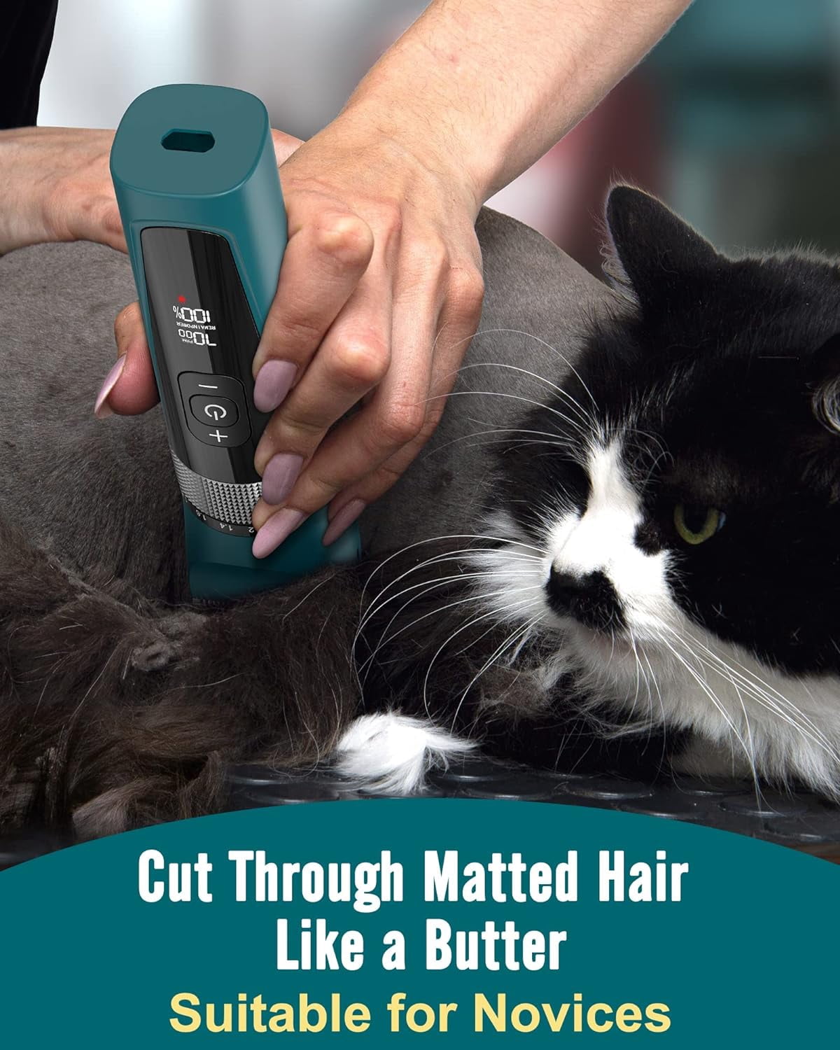Powerful Motor-Easy to Trim: 5 Speed Powerful Motor is easy to cut ...