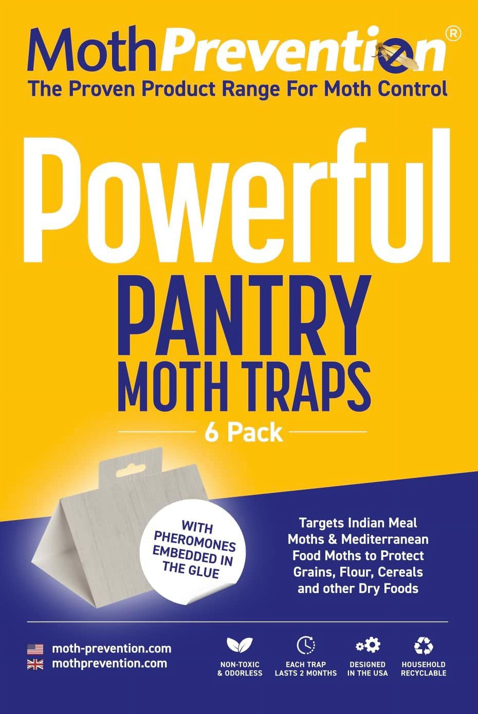 Powerful Pantry Moth Traps Pack of 6 | Moth Killer with Pheromones ...