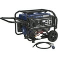 Powerhorse Dual Fuel Generator, 4000 Surge Watts, 3240 Rated Watts ...