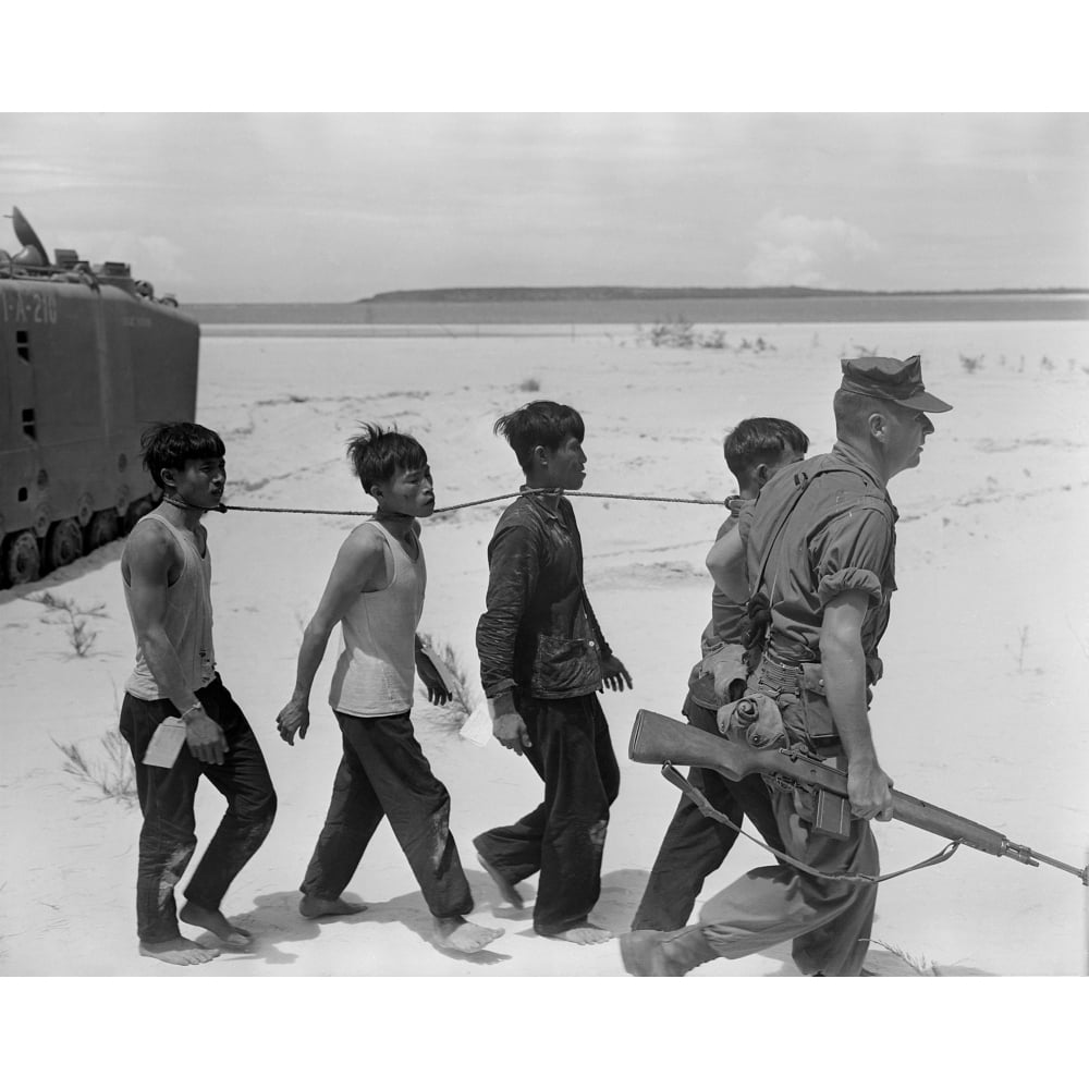 Pows Tied Together By The Neck. Viet Cong Prisoners Led Away For ...