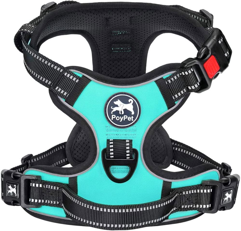 PoyPet Adjustable Soft Padded Dog Vest Harness, Reflective, Mint Blue ...