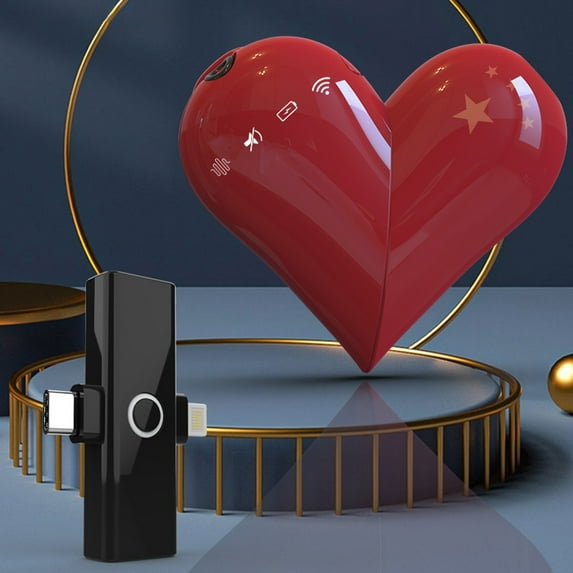 PpgejGEK 2.4G Wireless Lavalier Microphone with Heart Shape, Noise ...