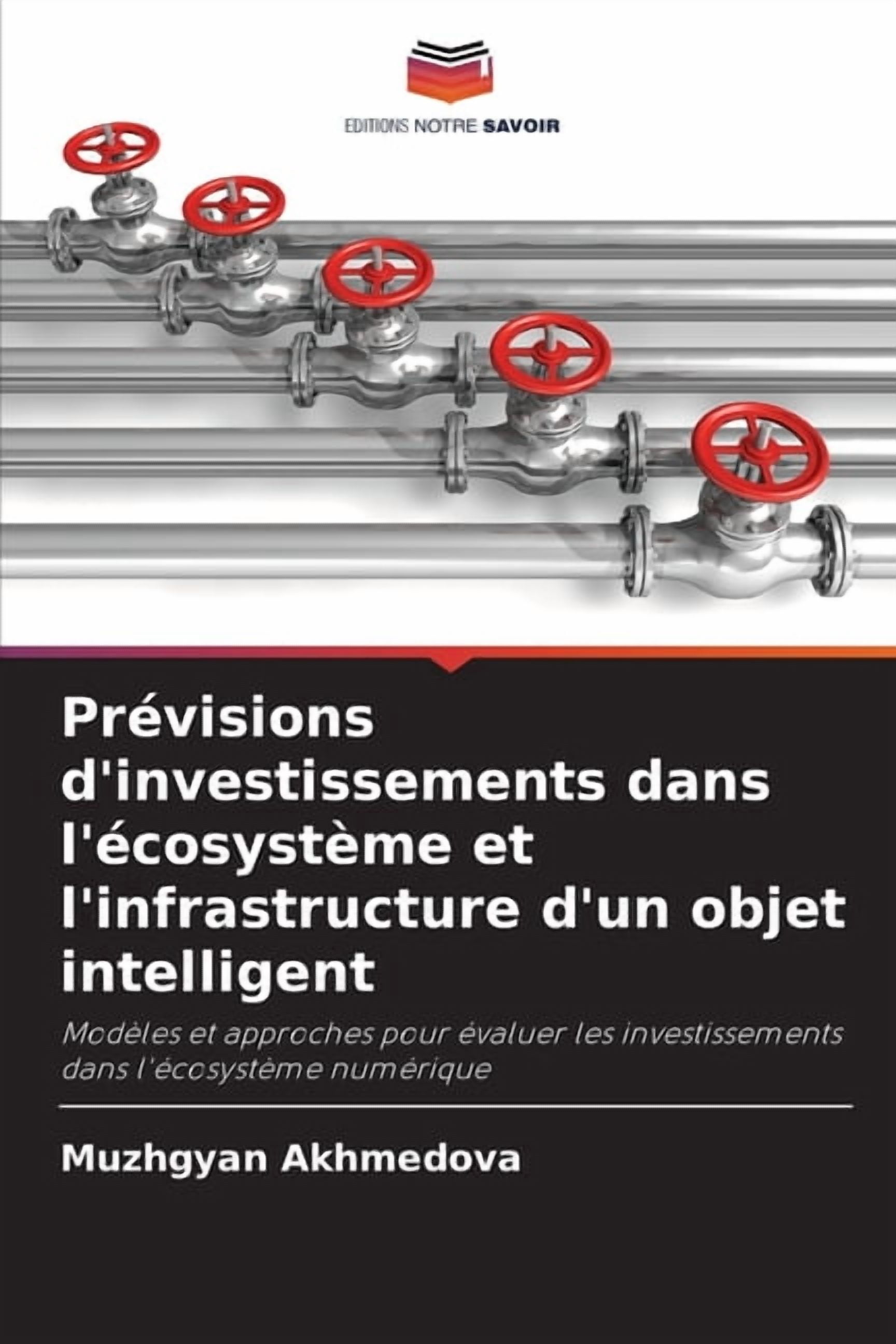 PrÃ©visions d'investissements dans l'Ã©cosystÃ¨me et l'infrastructure d'un objet intelligent ...