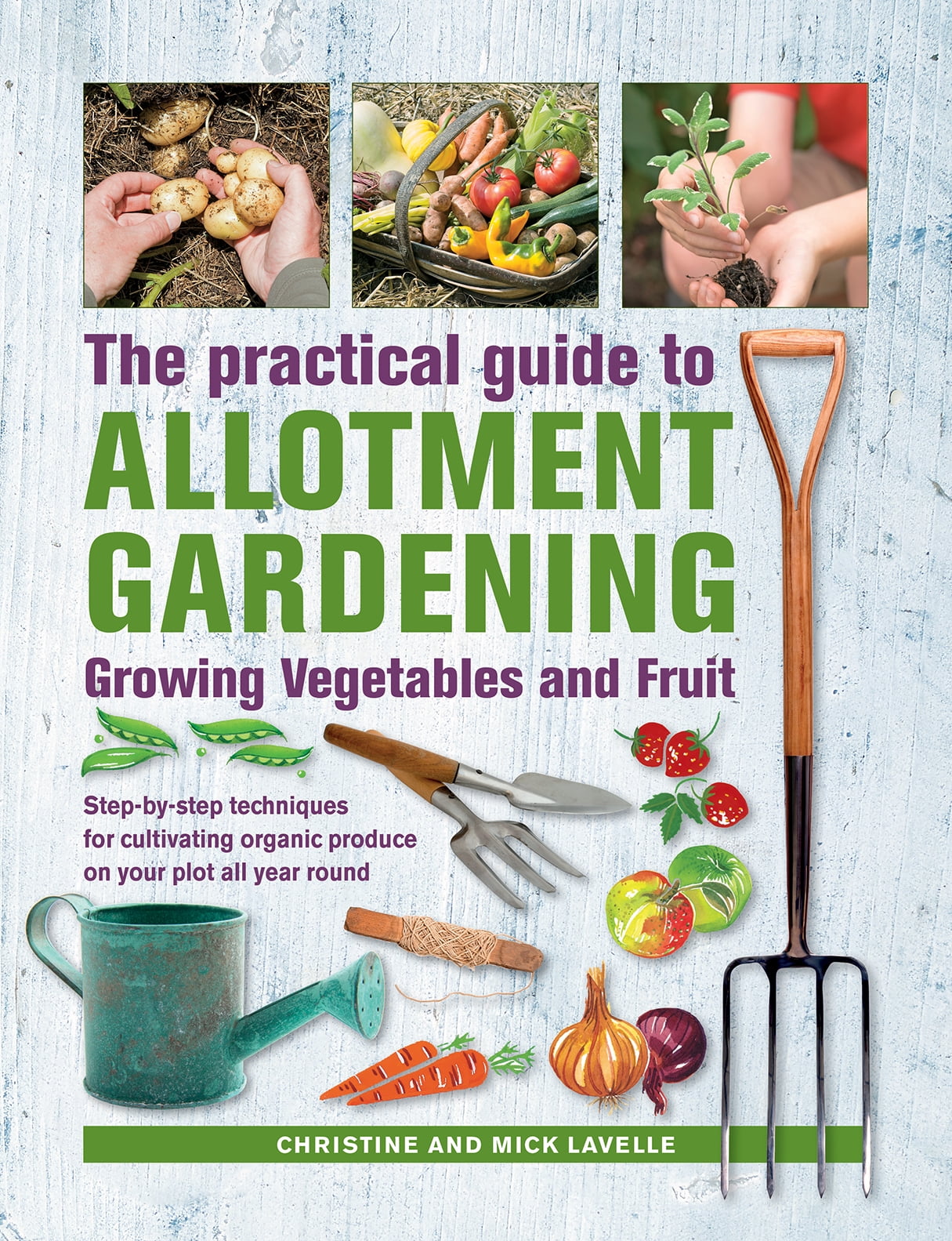 Practical Guide to Allotment Gardening: Growing Vegetables and Fruit ...