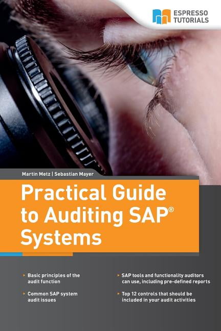 Sap Audits