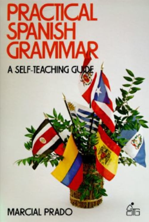 Pre-Owned Practical Spanish Grammar : A Self Teaching Guide (Paperback ...