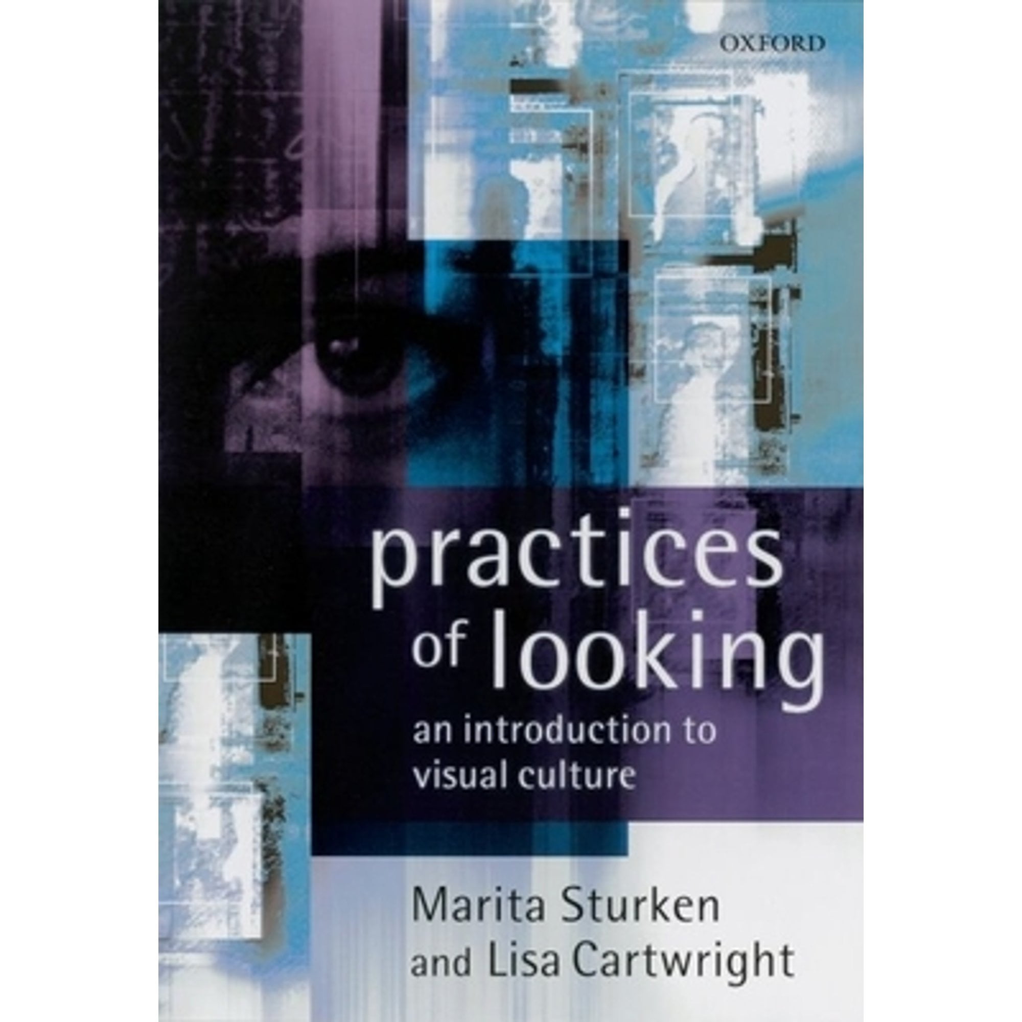 Practices of Looking : An Introduction to Visual Culture - Walmart.com