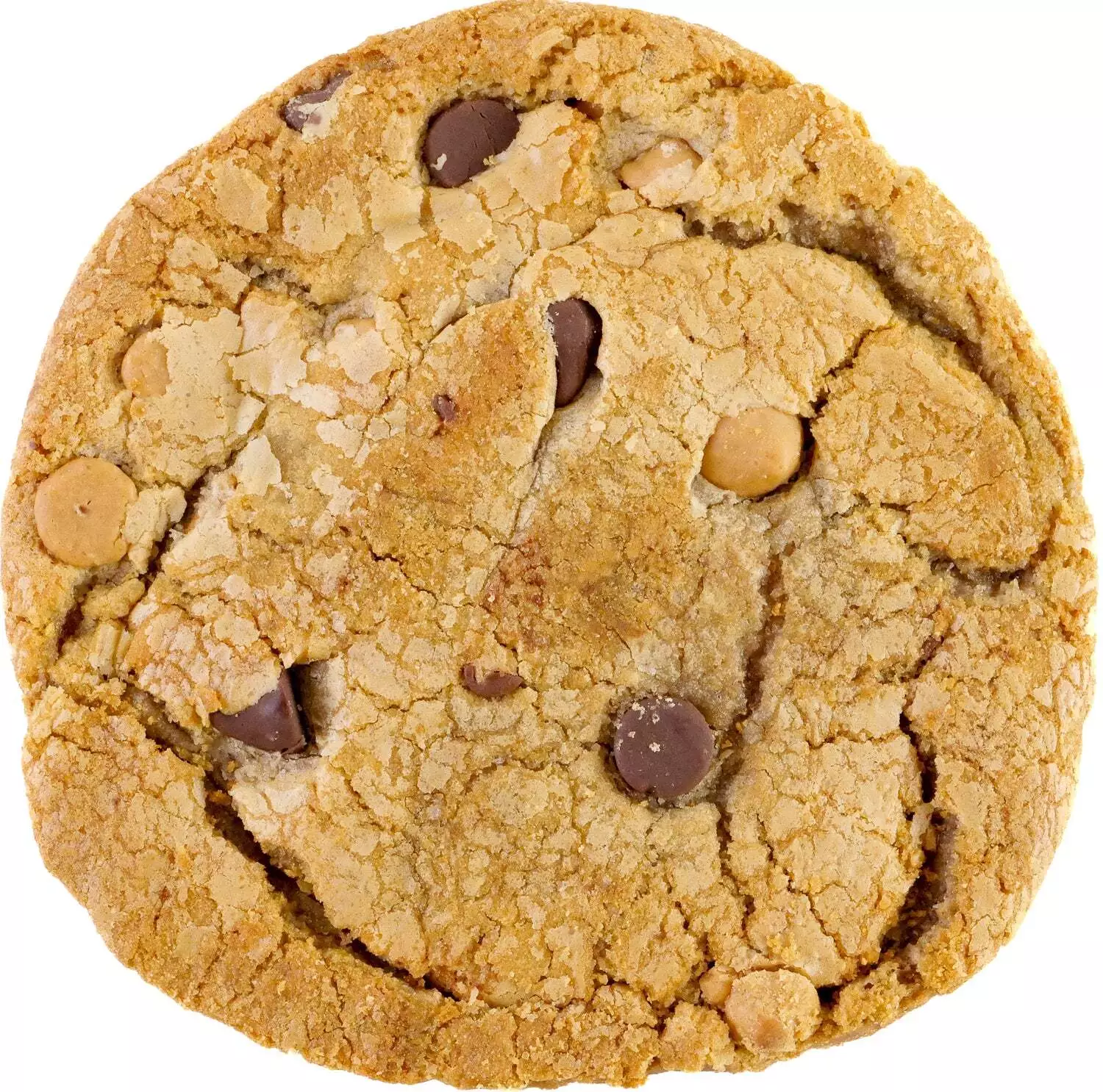 Prairie City Bakery Super Size Peanut Butter Chocolate Chip Cookie ...
