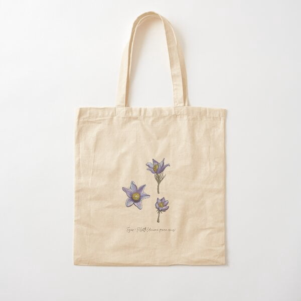 Prairie Crocus, Crocus, Manitoba, Flower, Botany, Botanical Drawing ...