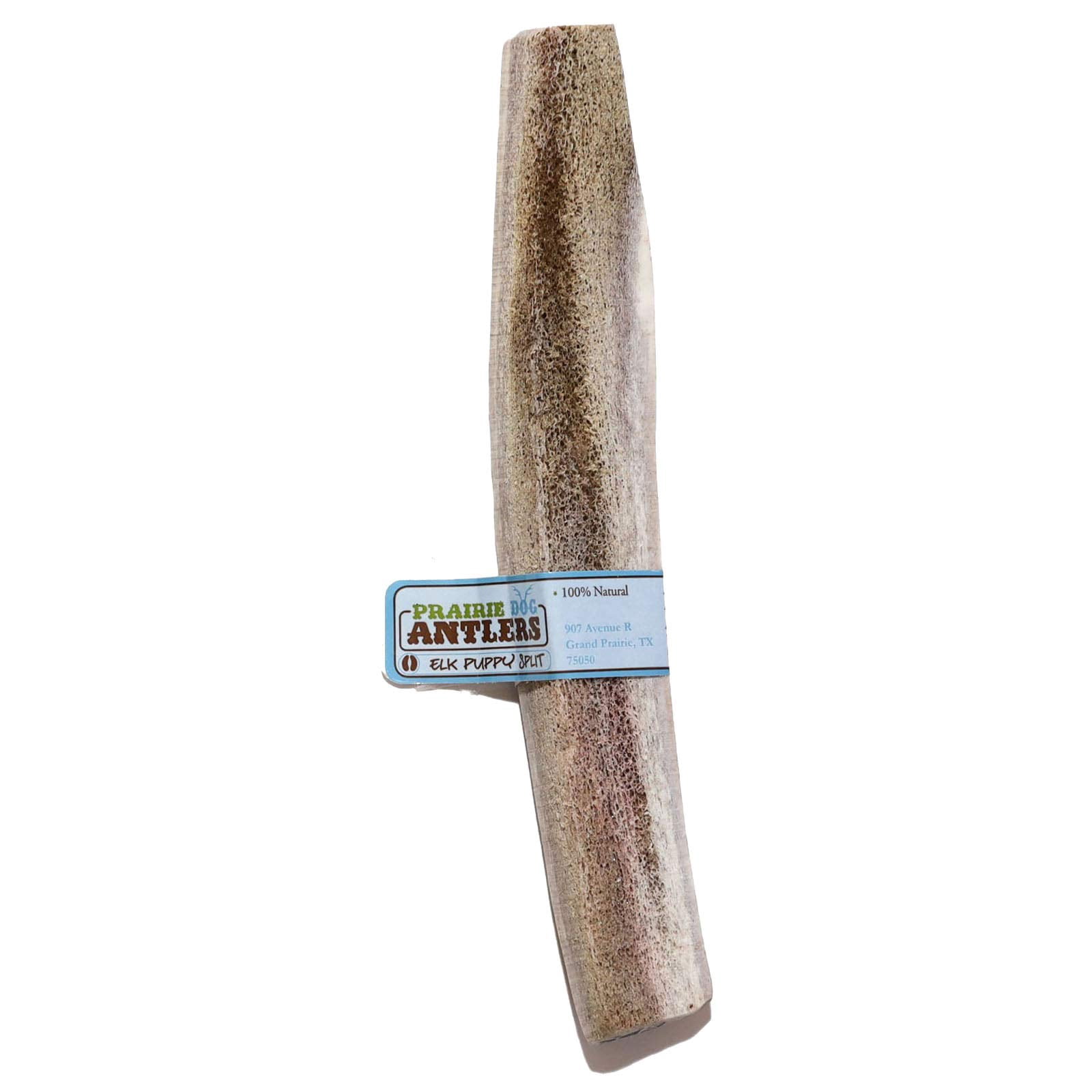 Prairie Dog Antlers | North American AIS1 Split Elk Antler | SMALL ...