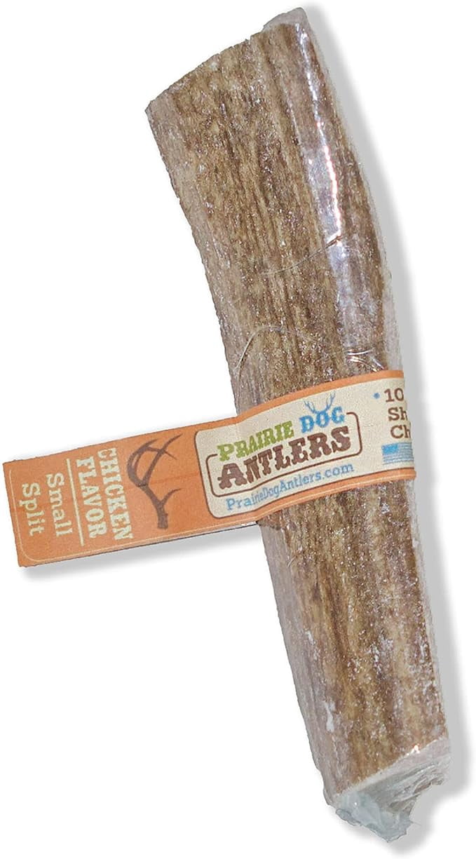 Prairie Dog Antlers | North American Split Antler | Chicken Flavor ...