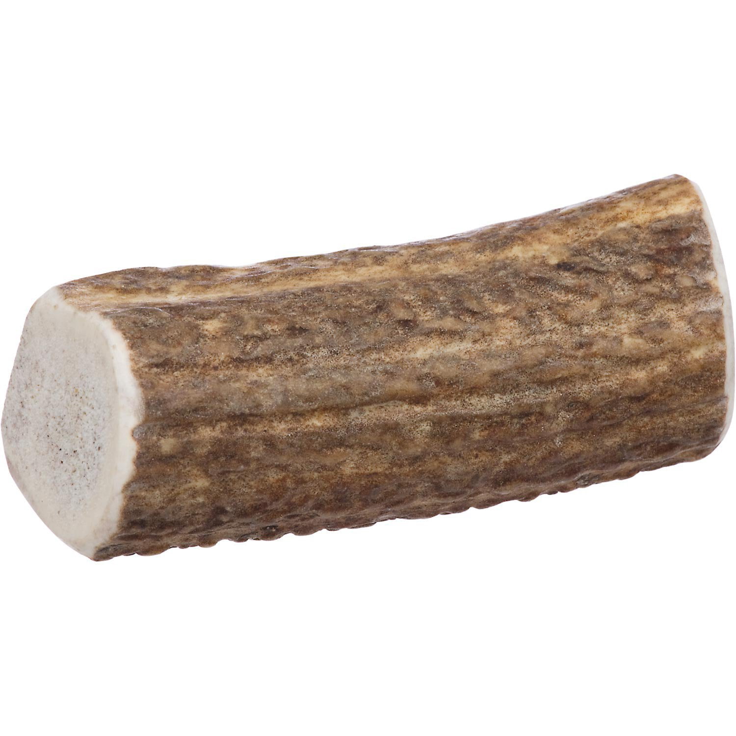 Prairie Dog AntlersEGSC | North American Whole Elk Antler | LARGE ...