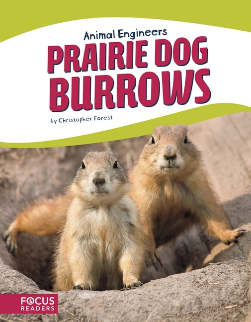 Prairie Dog Burrows (Hardcover) - Walmart.com