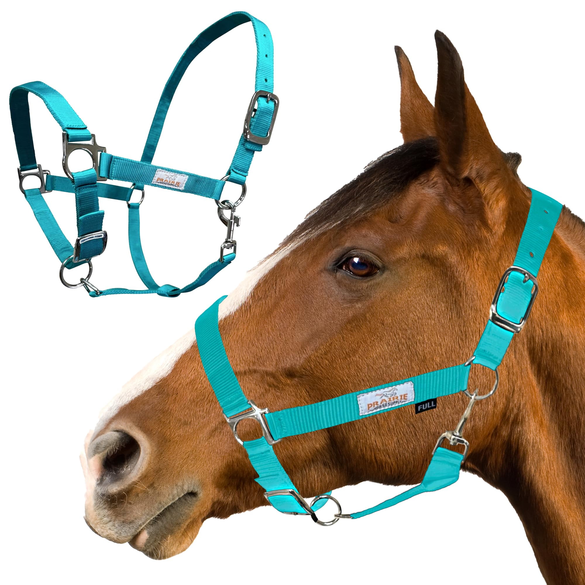 Prairie Horse Supply Nylon Horse Halter, Turquoise - 1 Inch Wide, Horse ...