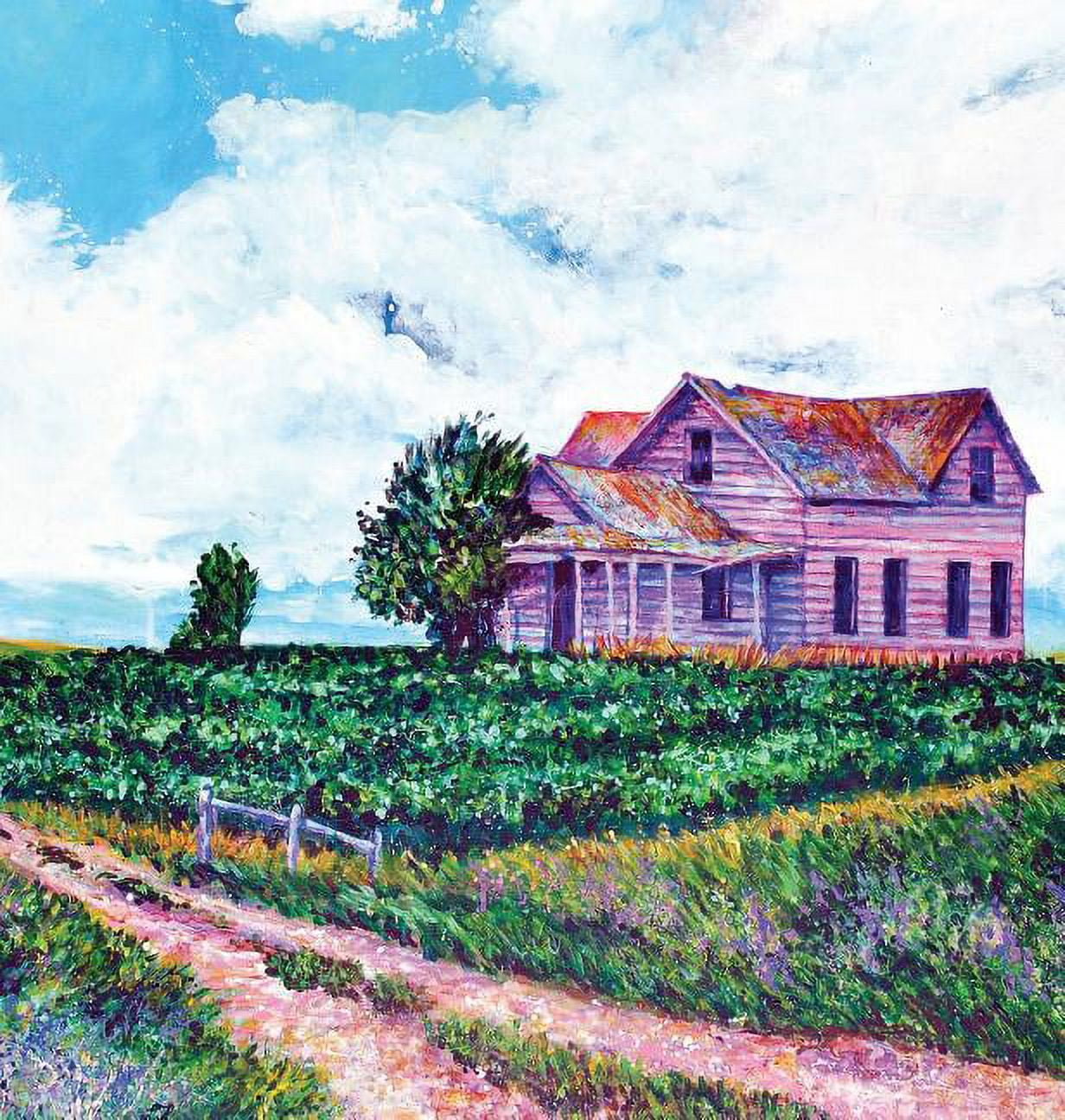 Prairie Paintings: Scenes from the Midwest, (Hardcover) - Walmart.com