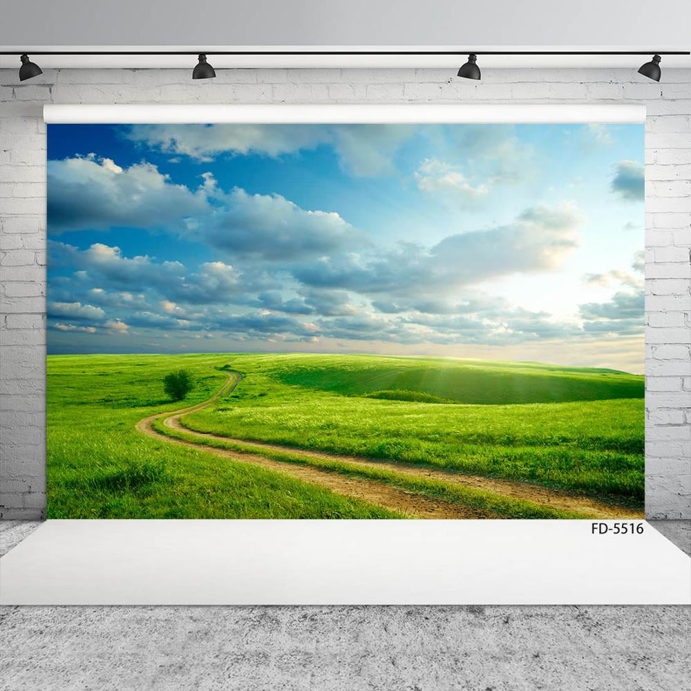 Prairie Road Scenery Photographic Backdrop Computer Printed Background ...