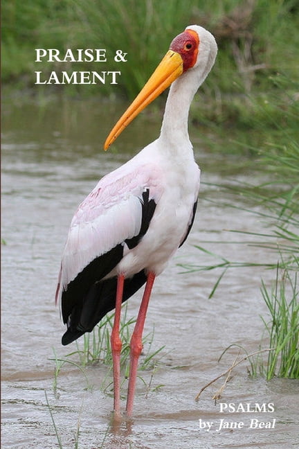 Praise & Lament: Psalms for the God of Birds, (Paperback) - Walmart.com