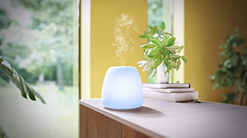 Pranarom - Essential Oil Diffuser - Stylish & Modern Home Essential Oil ...