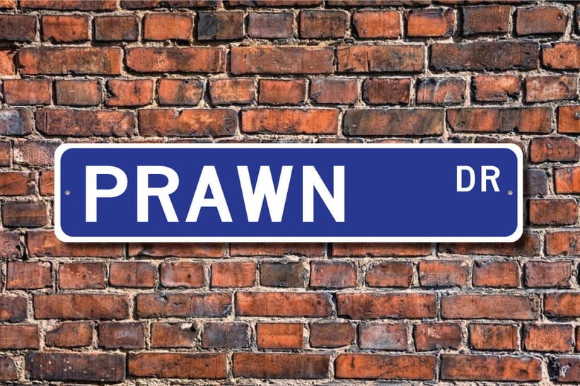 Prawn Prawn Gift Prawn Sign Prawn decor Prawn lover aquatic crustaceans ...