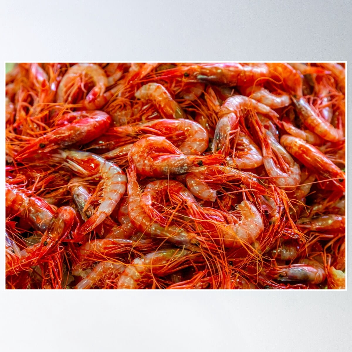 Prawns Or Shrimps That Is The Question Poster Wall Art, Modern Wall ...