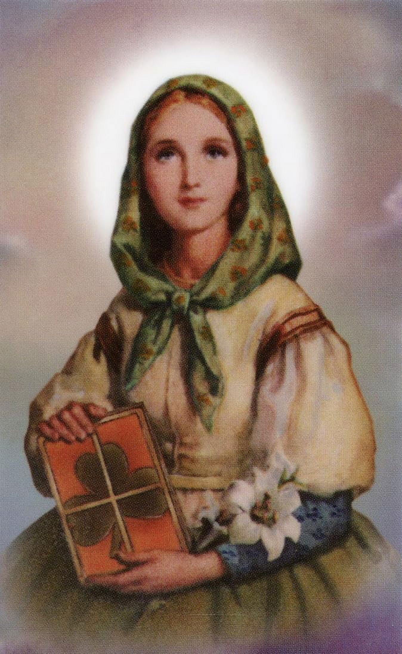 Prayer to St. Dymphna Laminated Holy Card - Pack of 25 - Walmart.com