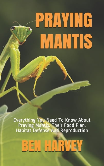 Praying Mantis Food