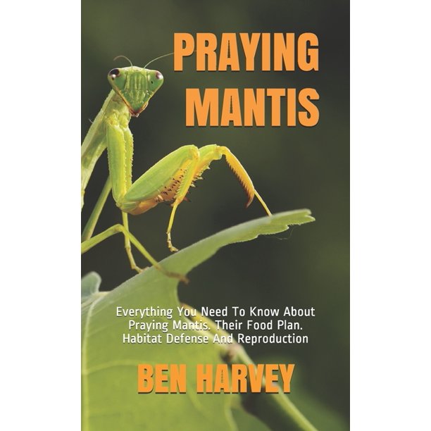 Praying Mantis: Everything You Need To Know About Praying Mantis. Their ...