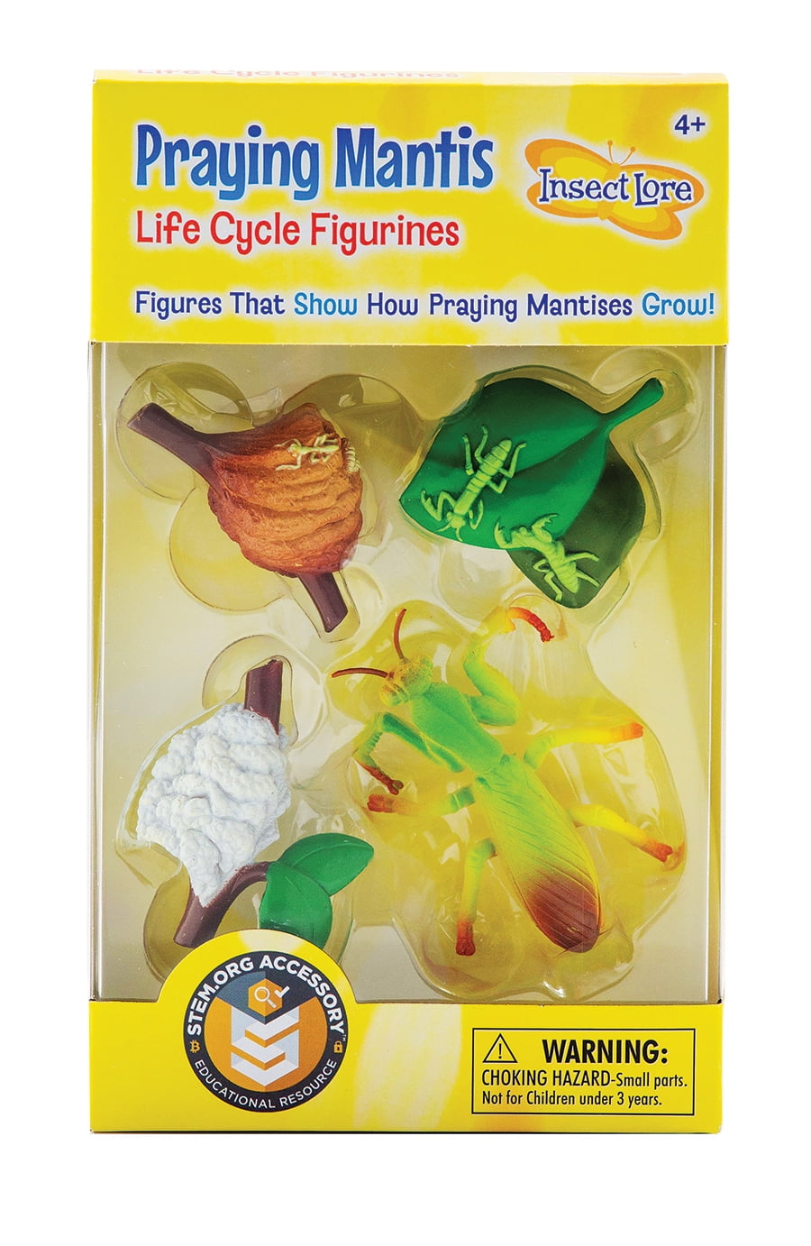 Praying Mantis Life Cycle Stages- 4 Piece Set - Walmart.com