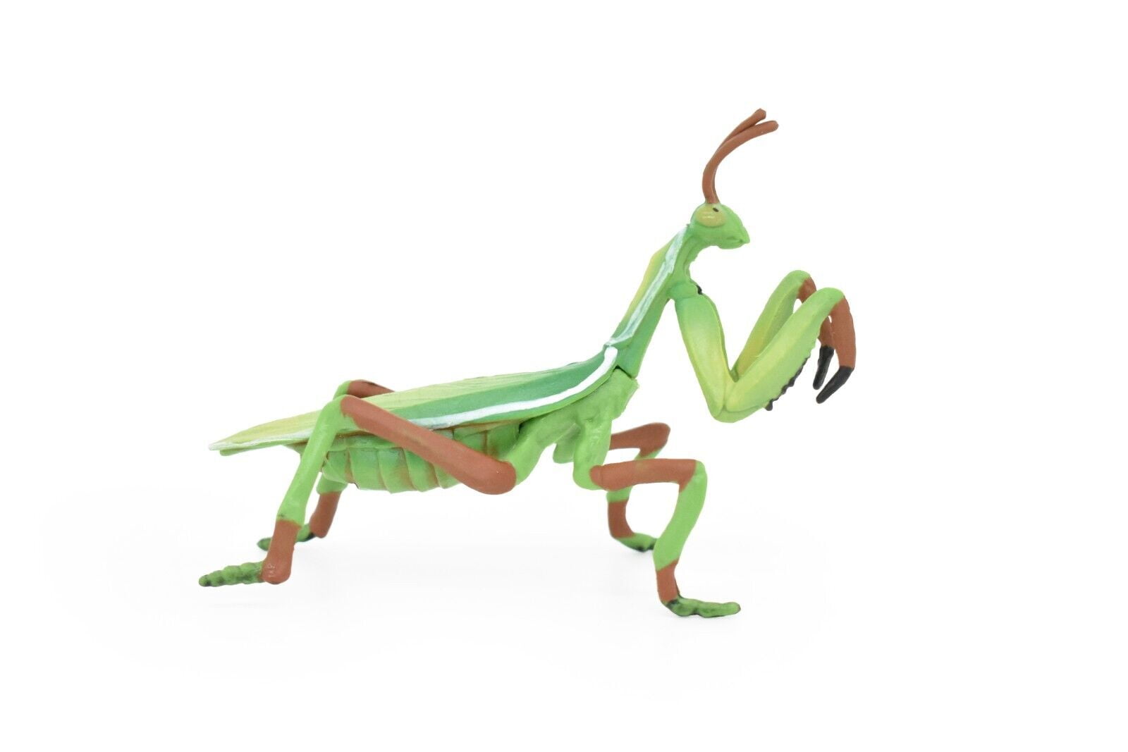 Praying Mantis Toy, Mantises, Mantodea, Insect, Very Realistic Rubber ...