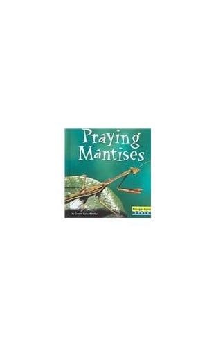 Pre-Owned Praying Mantises (WORLD OF INSECTS) Paperback - Walmart.com