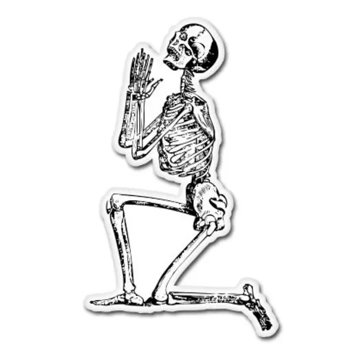 Praying Skeleton Car Sticker Phone Decal Water Bottle Stickers Car ...