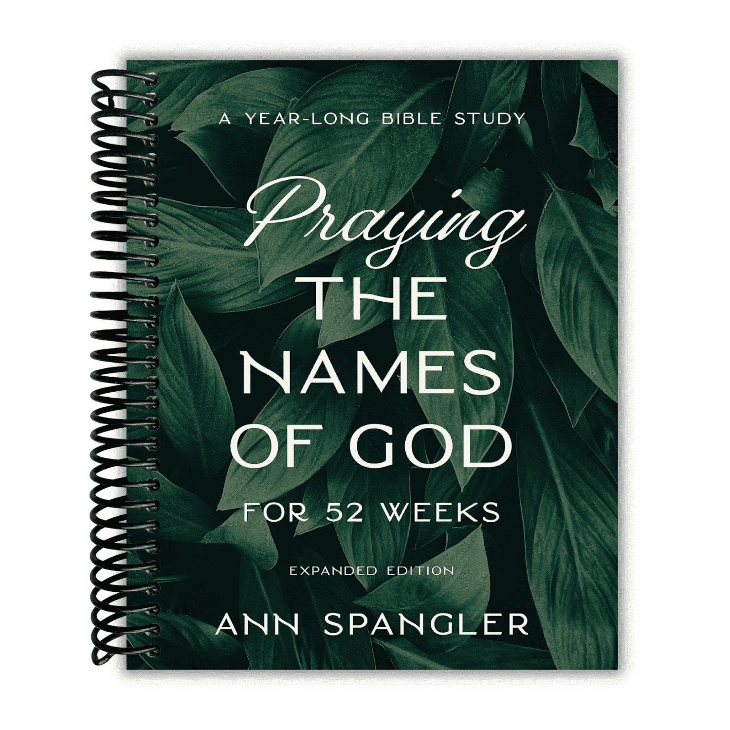 Praying the Names of God for 52 Weeks, Expanded Edition, Bible Study ...