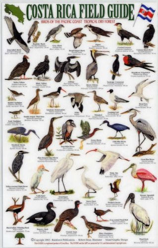 Pre-Owned Birds of the Pacific Coast Tropical Rainforest: Osa Peninsula ...
