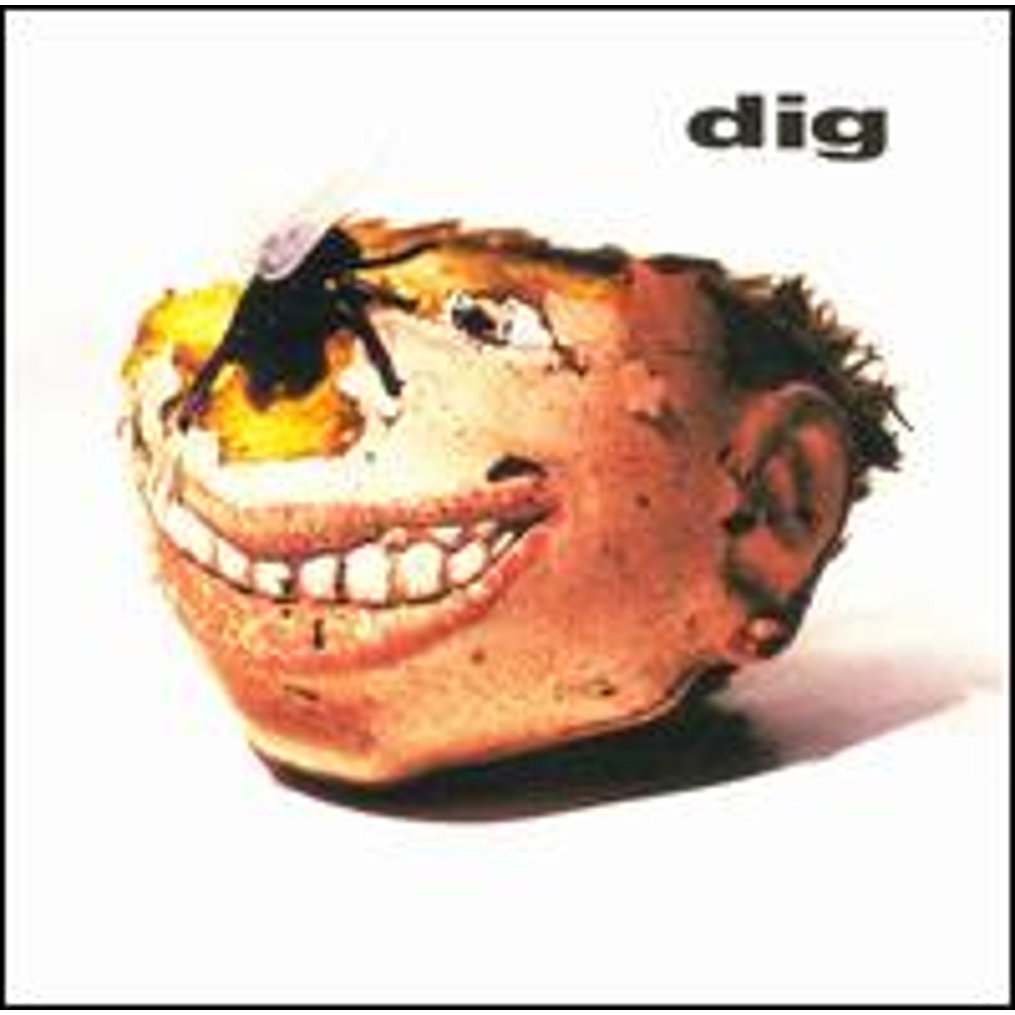 Pre-Owned Dig (CD 0008811091620) by Dig - Walmart.com