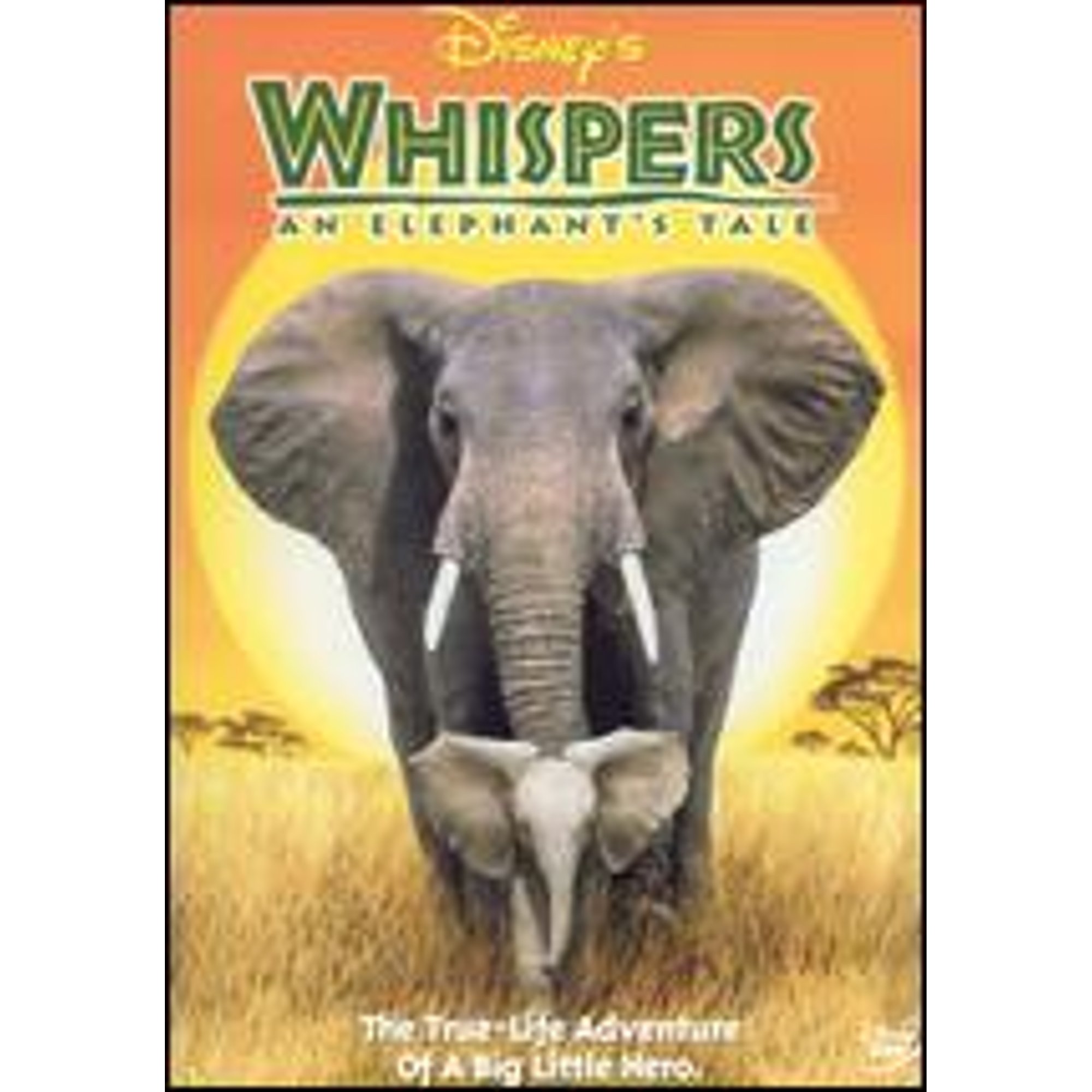 Pre-Owned Disney's Whispers: An Elephant's Tale (DVD 0786936160789 ...