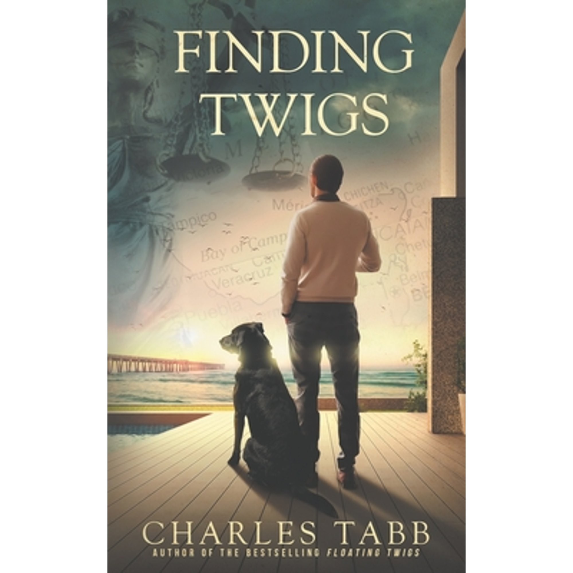 Pre-Owned Finding Twigs (Paperback) by Charles Tabb - Walmart.com