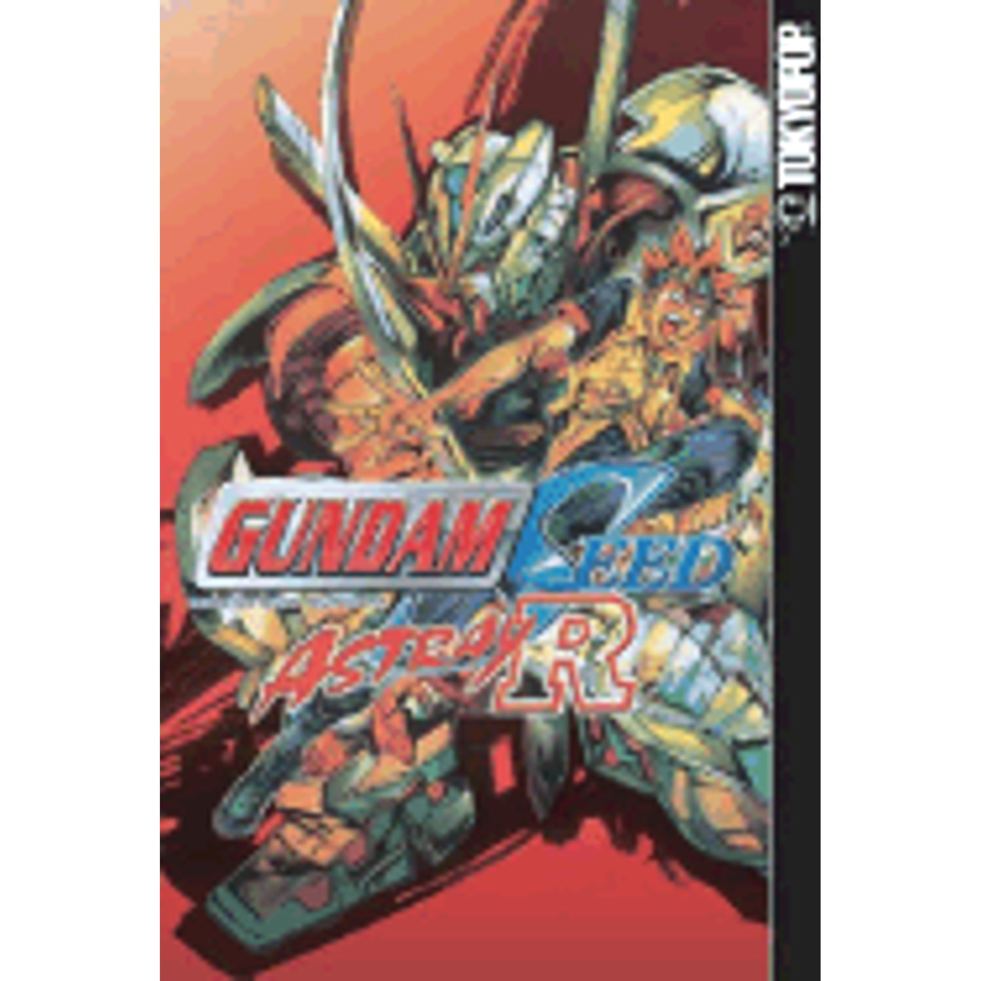 Gundam Seed Astray R