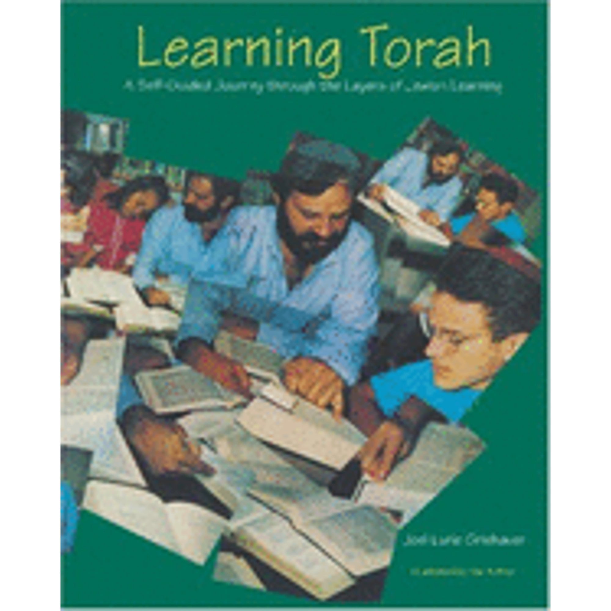 Pre-Owned Learning Torah: A Self-Guided Journey Through the Layers of ...