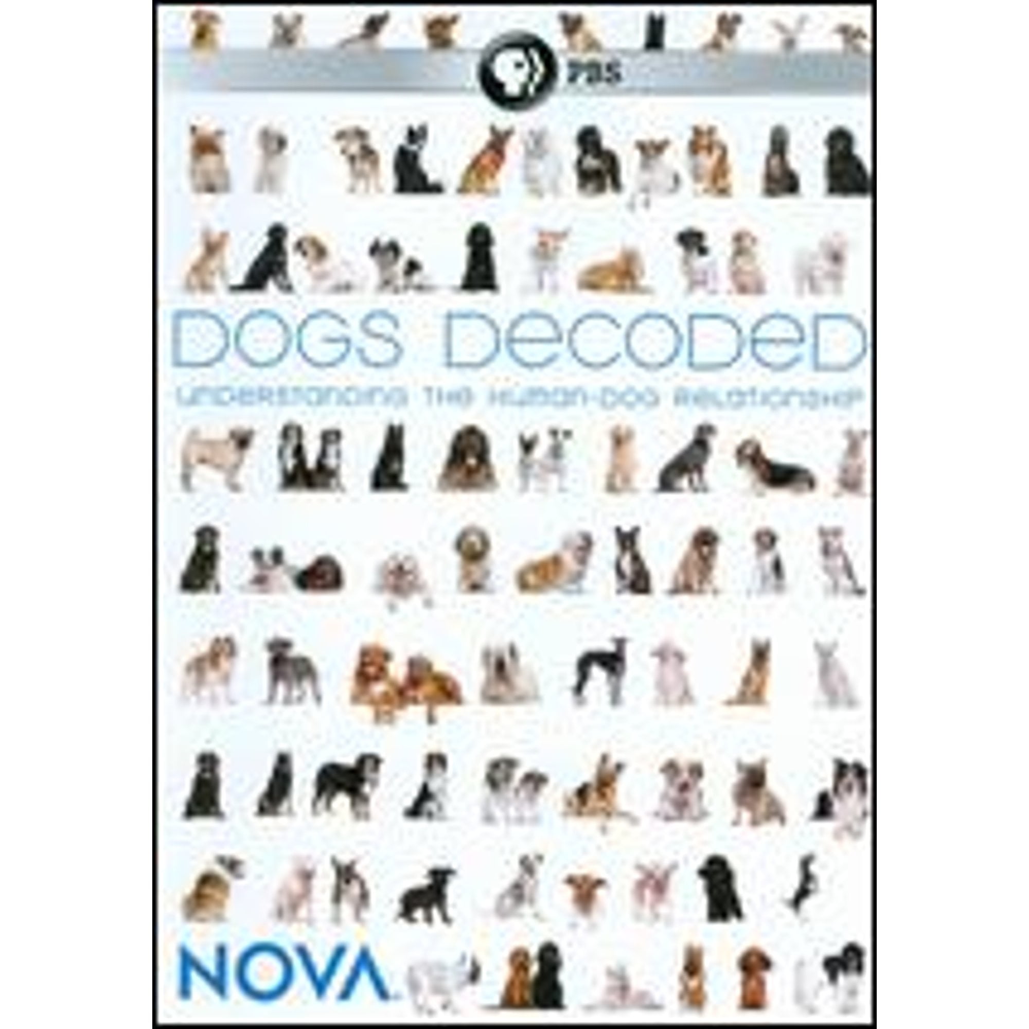 Pre-Owned NOVA: Dogs Decoded (DVD 0841887013291) directed by Dan Child ...