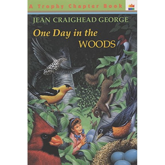 Pre-Owned A Flying Geese Quilt in a Day (Paperback) 0922705356 ...