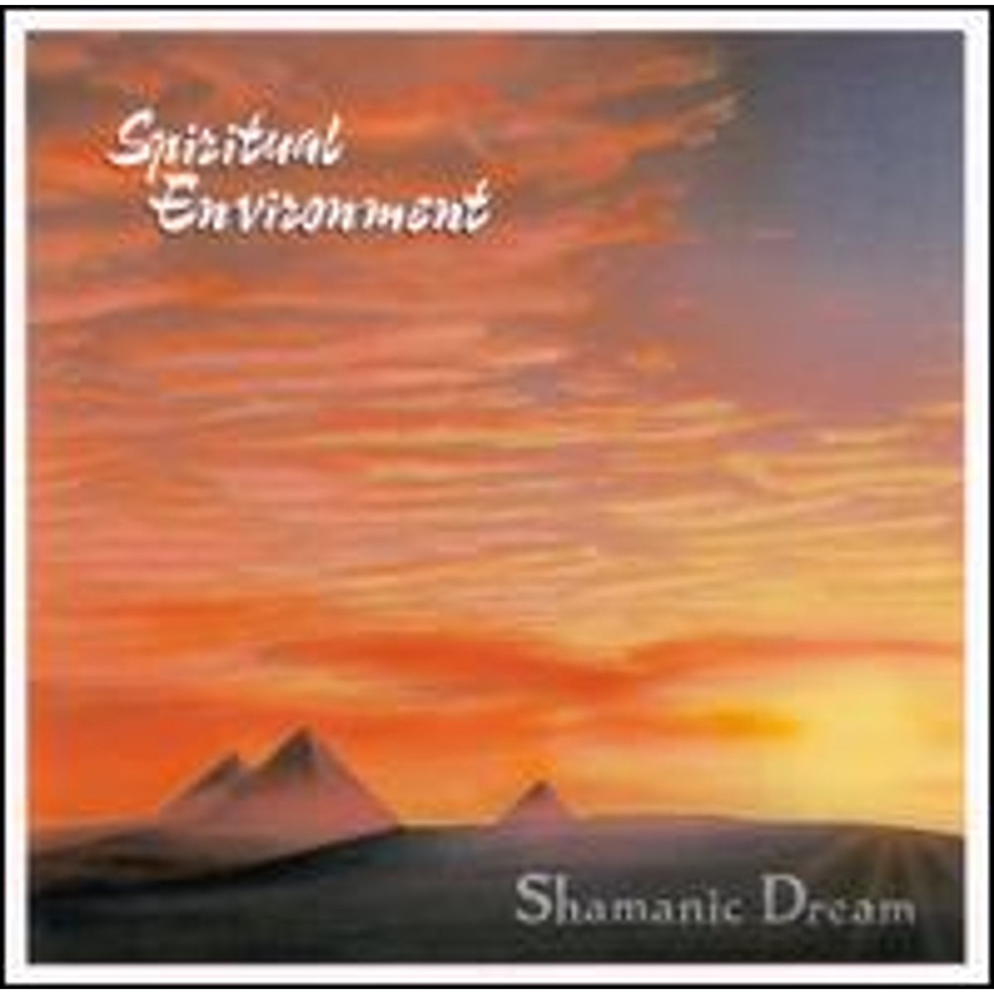 Pre-Owned Shamanic Dream (CD 0667040432125) by Anugama - Walmart.com