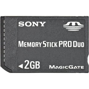 2 GB Memory Cards